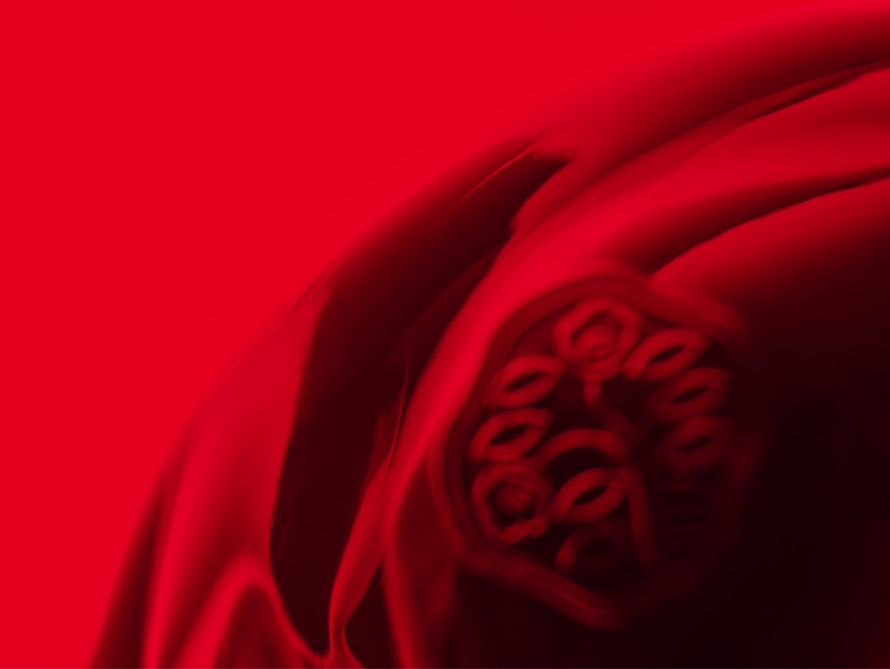SHISEIDO STORY OF RED | SHISEIDO | 資生堂